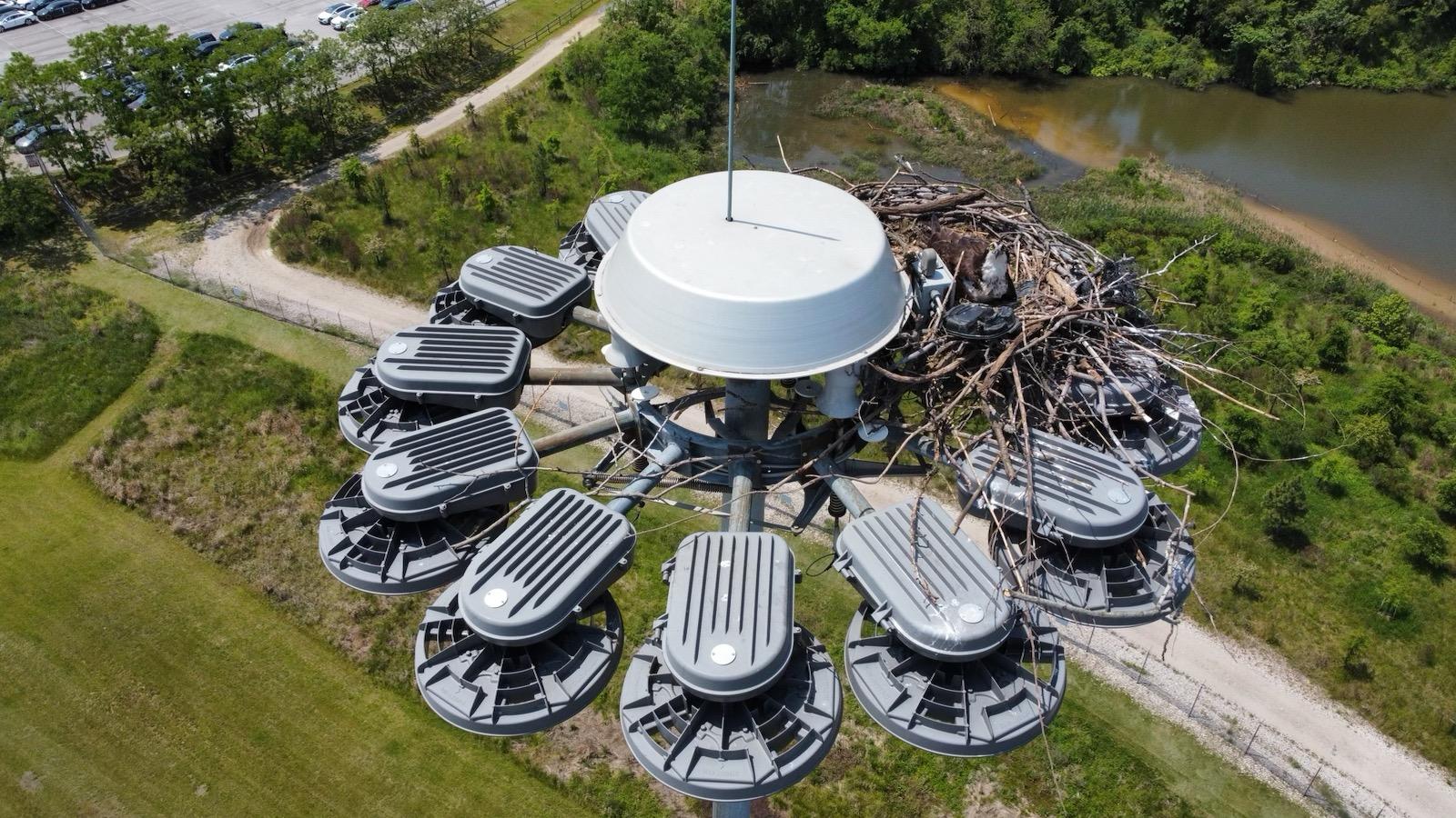 Reilly Electrical Services